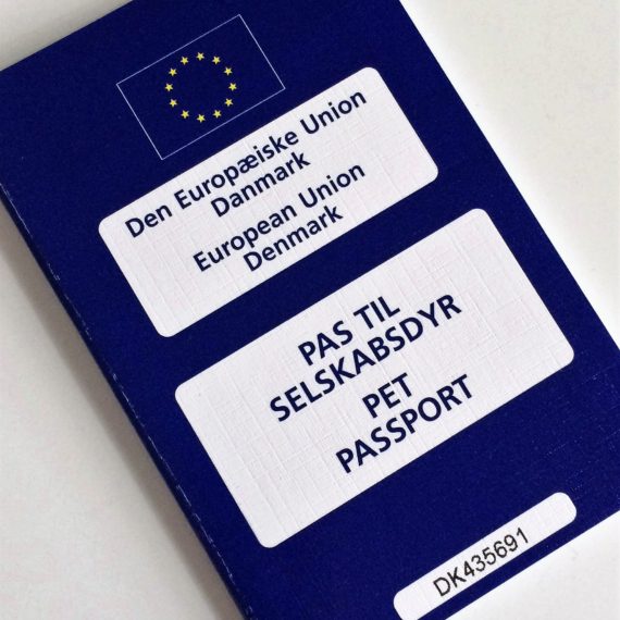 REJSE MED KÆLEDYR - Haslevdyreklinik